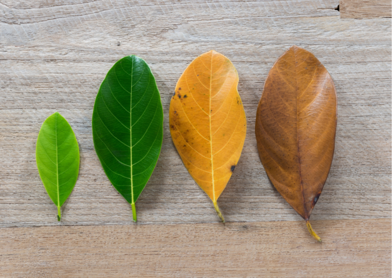 Why Is Change Important? Embracing the Power of Transformation