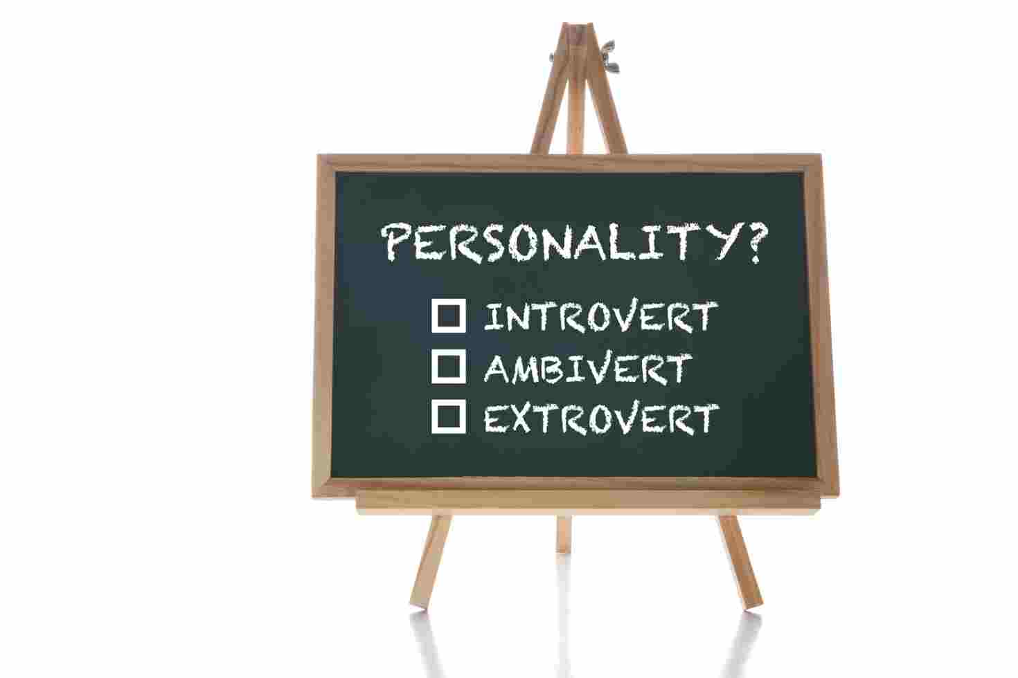 Balancing Act: How Ambiverts Find Harmony | Education Infinite